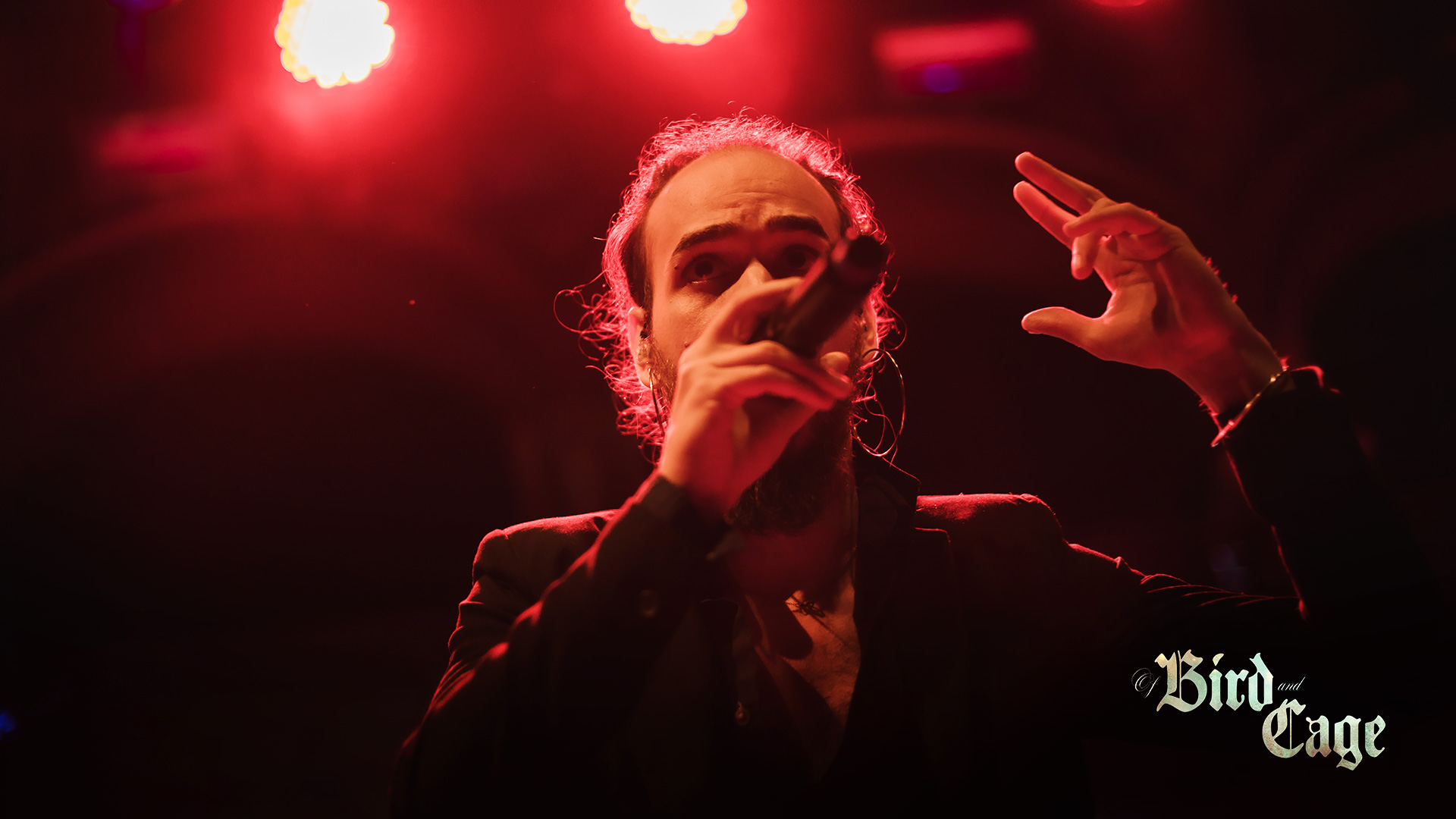 The Voice of Bres—Who is Davidavi 'Vidi' Dolev? - All in! Games